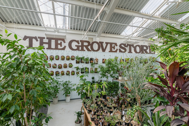 THE GROVE STORE “GREEN”様 | INFINI HOMES